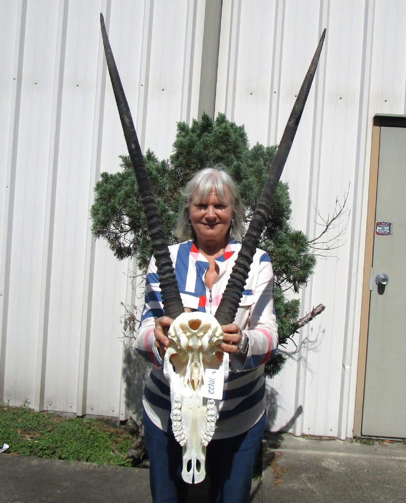 Real Skull 34