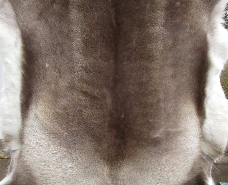 Authentic Reindeer Hide, Skin, Fur 46 by 41 inches