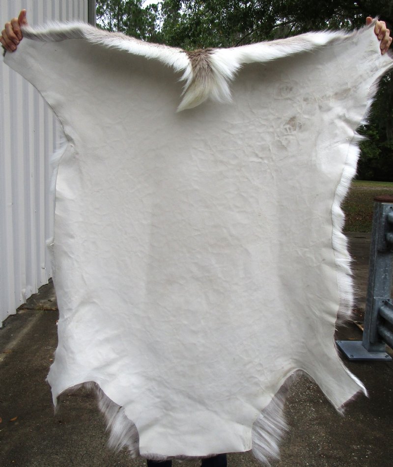 Authentic Reindeer Hide, Skin, Fur 46 by 41 inches