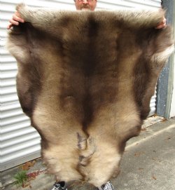 Worldwide Wildlife Products - Worldwide Wildlife Products