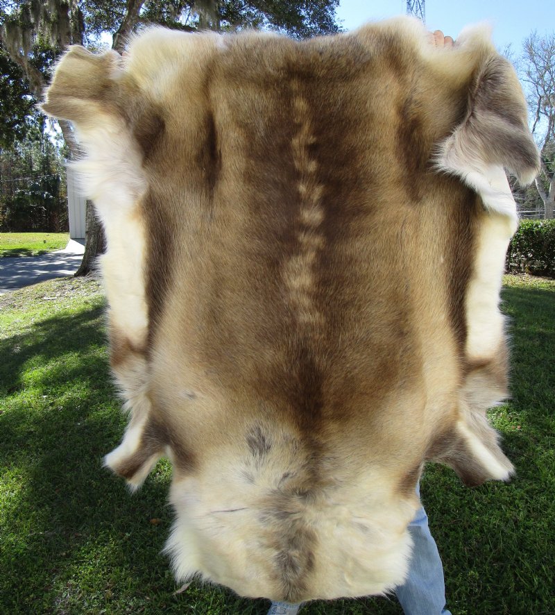 Authentic Reindeer Hide, Skin with Light Fur
