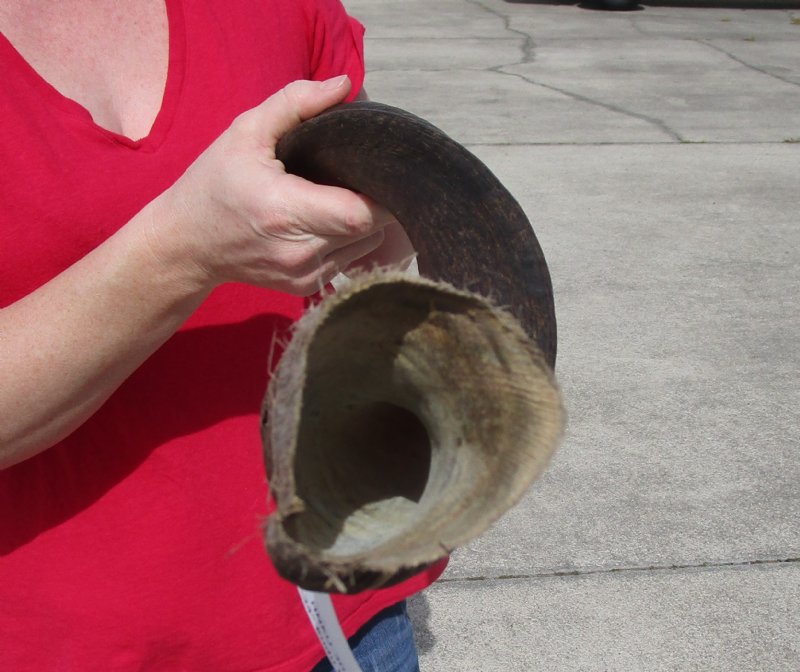 Kudu Horn Instrument Of Africa at Keith Turner blog