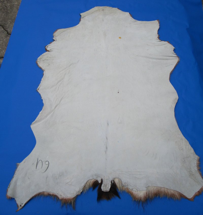 Auburn Brown Goat Skin, Hide 42 by 31 inches for $44.99