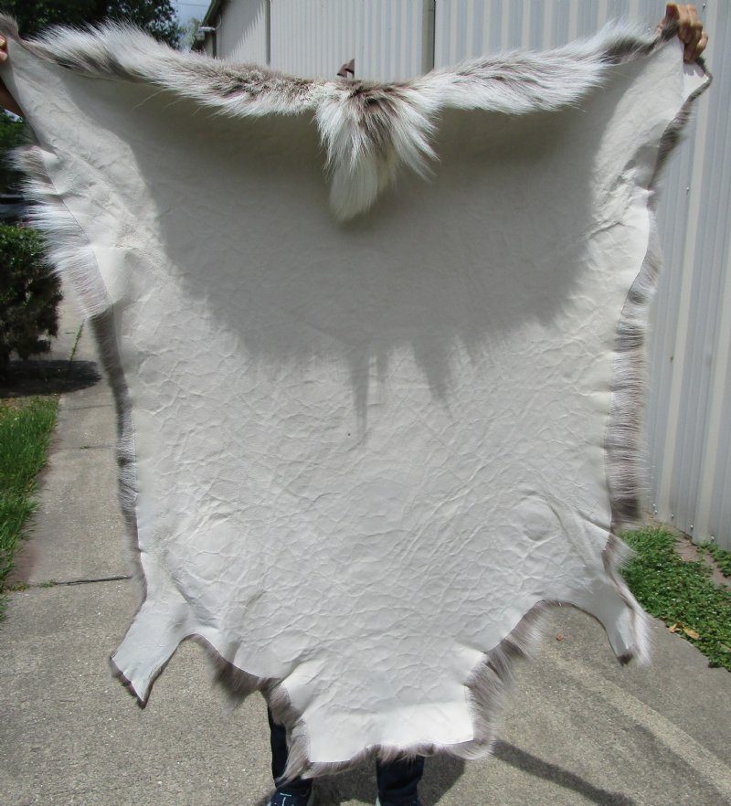 Reindeer Hide, Skin, Fur 44 by 43 inches
