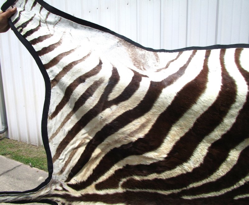 Authentic Animal Skin Rugs
